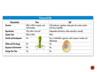 structure & classification of virus copy.pptx