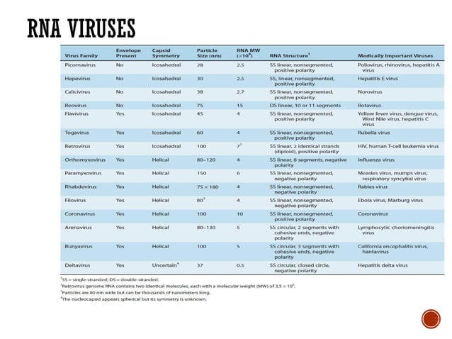 structure & classification of virus copy.pptx
