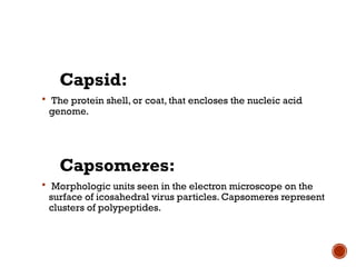 structure & classification of virus copy.pptx