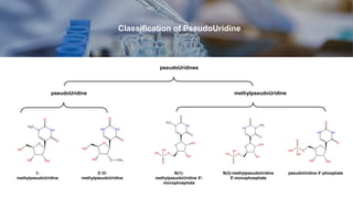 Structured-Classification-of-PseudoUridine.pptx
