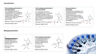 Structured-Classification-of-PseudoUridine.pptx