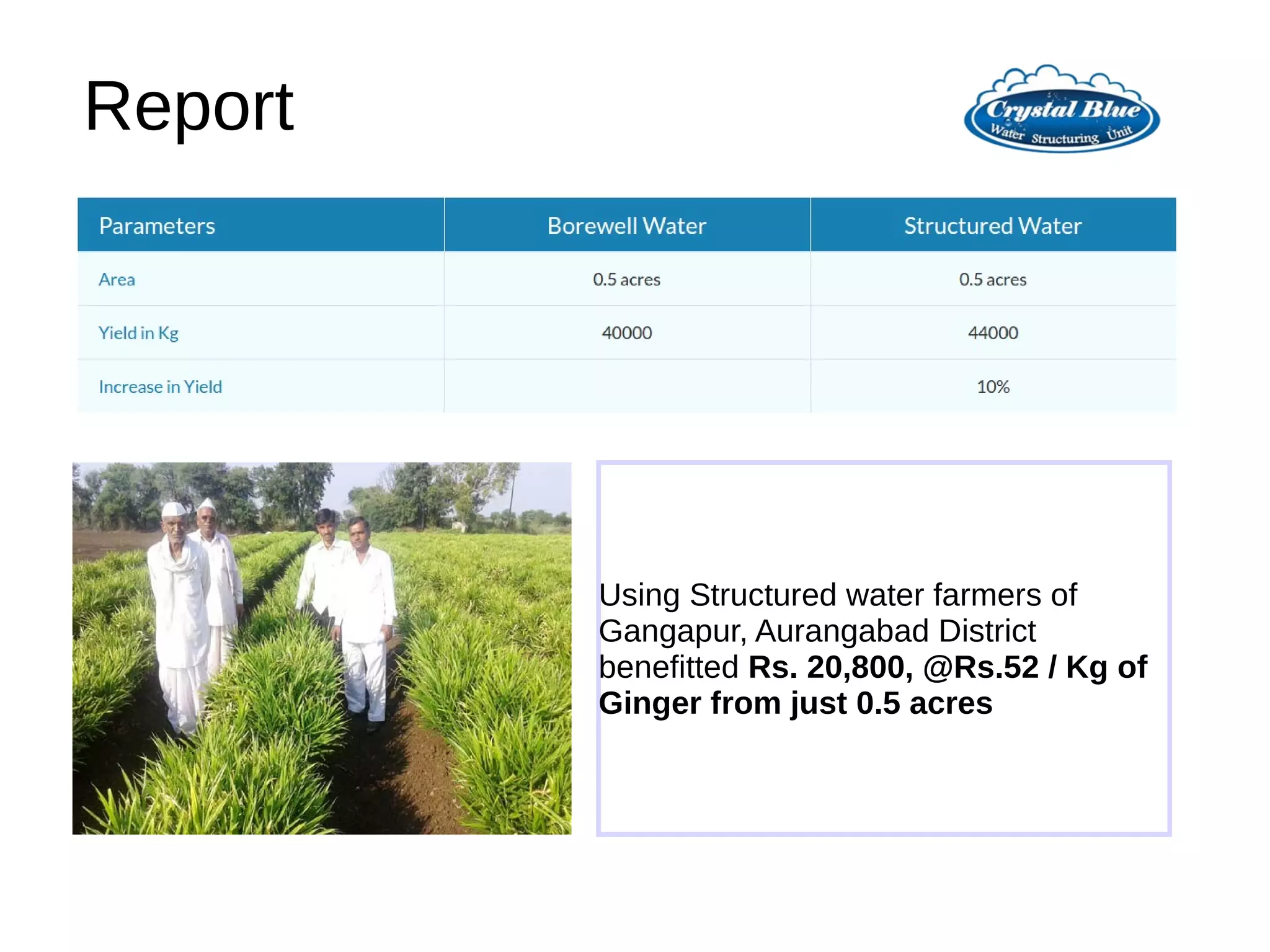 Structured water-case-study-ginger | PDF | Agriculture | Industries