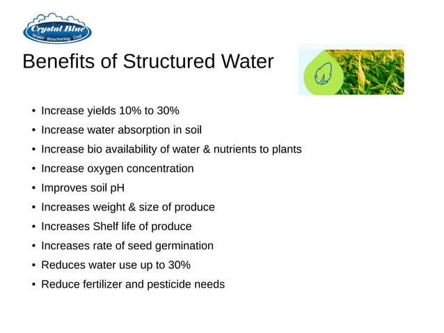 Structured water-case-study-ginger | PDF | Agriculture | Industries
