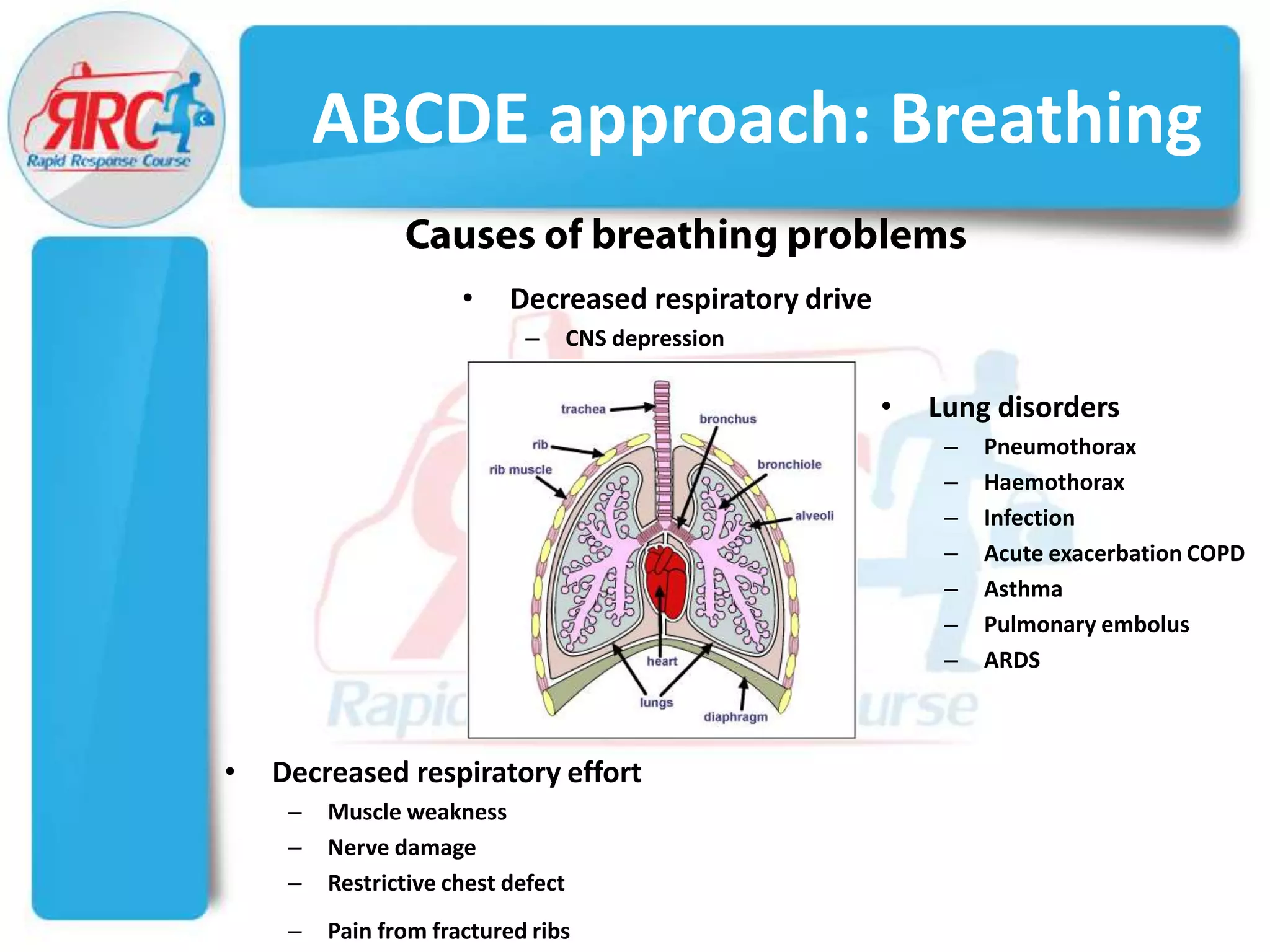 Structured approach for critically ill patient | PPTX