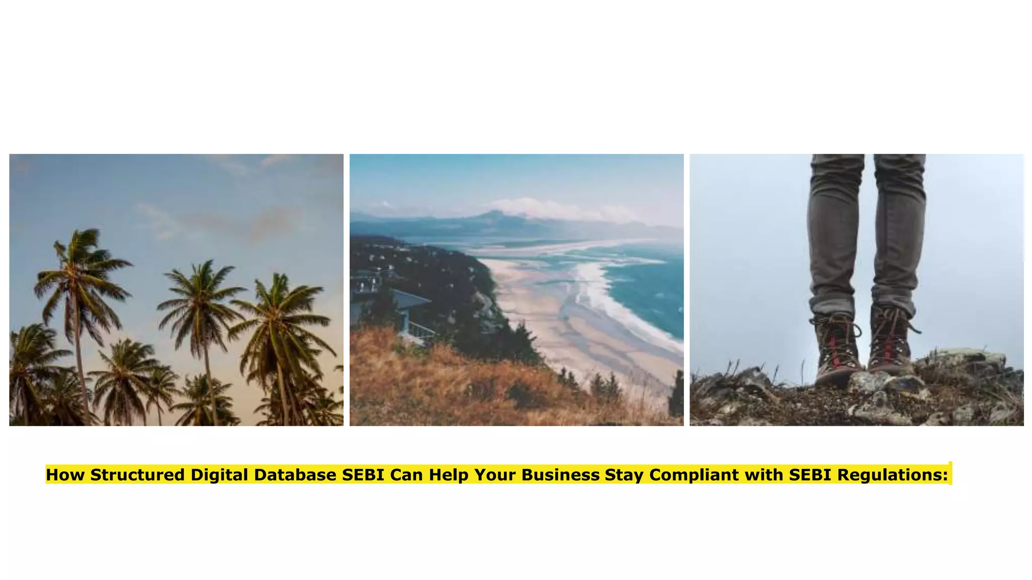 Structured Digital Database SEBI | PPTX