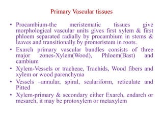 Structure & development of plant bod 3 | PPT