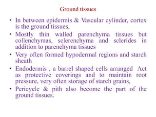 Structure and Development of Plant Body | PDF