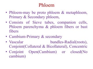 Structure and Development of Plant Body | PDF