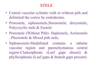 Structure and Development of Plant Body | PDF