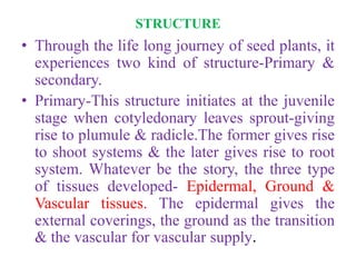 Structure and Development of Plant Body | PDF
