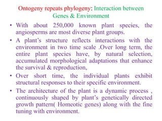 Structure and Development of Plant Body | PDF