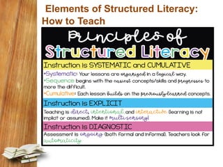 Structured Literacy PLC-February 21st, 2021.pptx