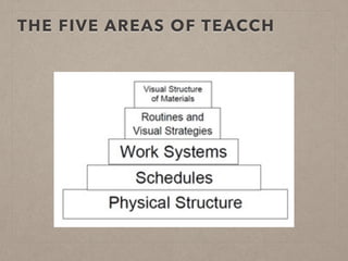 Structured teaching overview | PDF