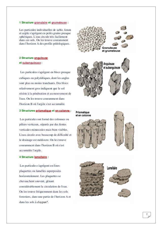 Structure du sol élément clé de sa fertilité