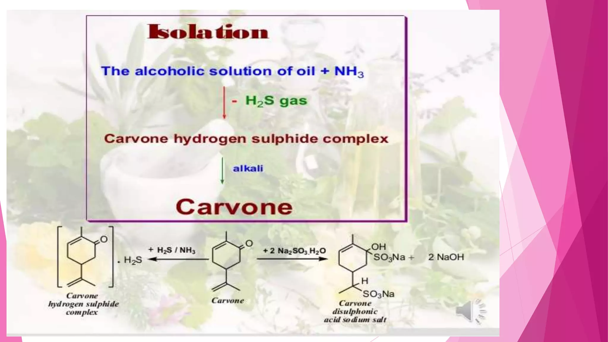 Structure elucidation phyto .pptx