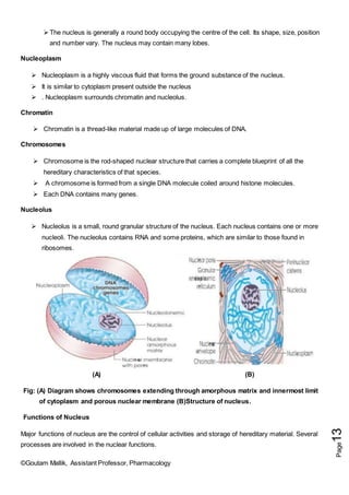 Structure & function of cell | PDF