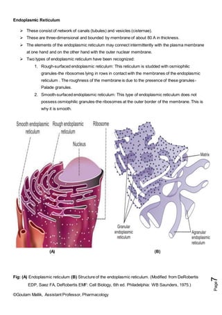 Structure & function of cell | PDF