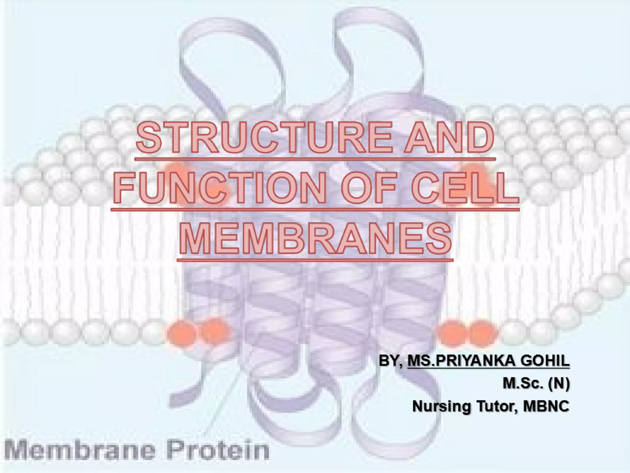 Structure & function of cell membrane | PPT