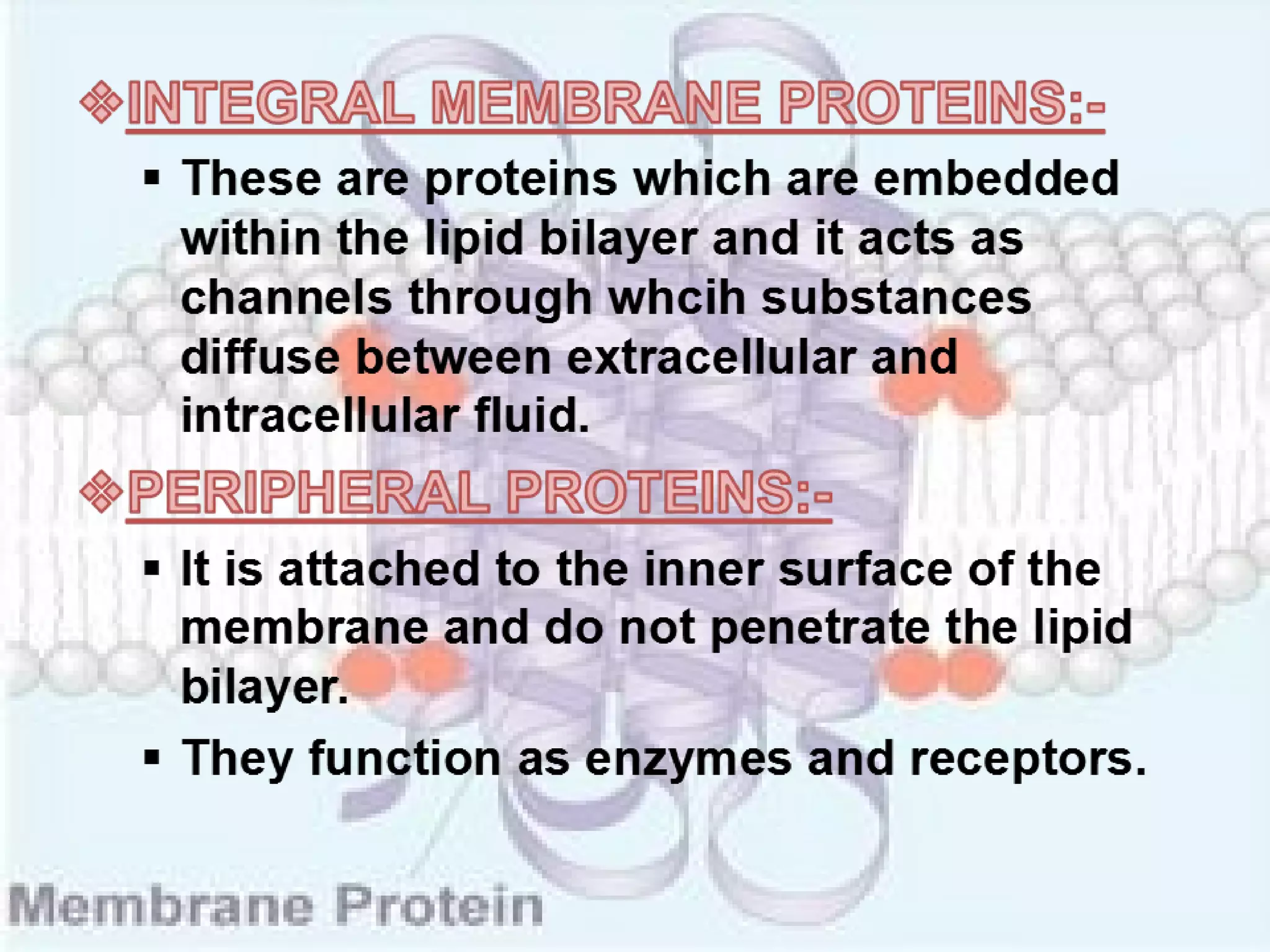 Structure & function of cell membrane | PPT