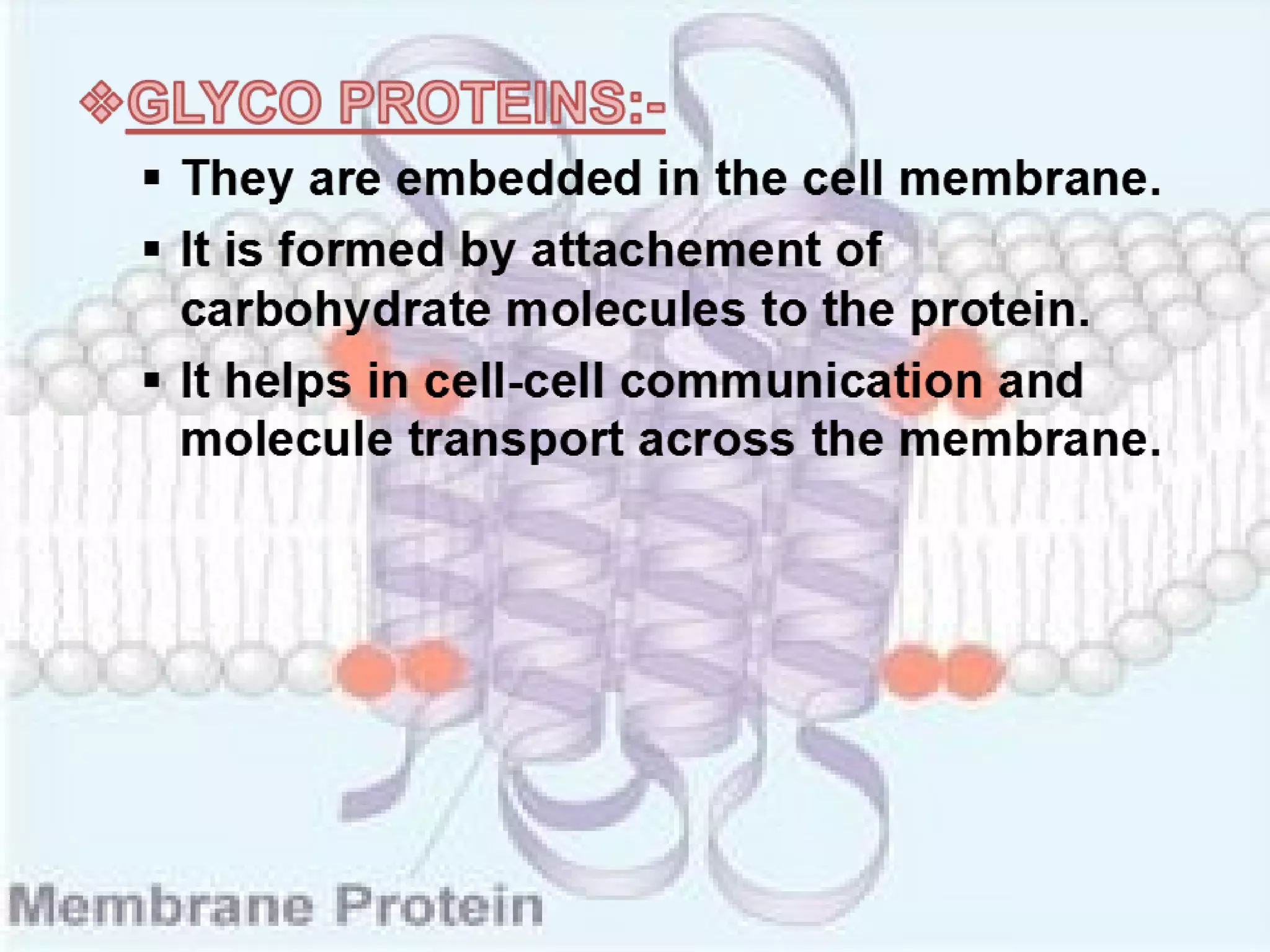 Structure & function of cell membrane | PPT