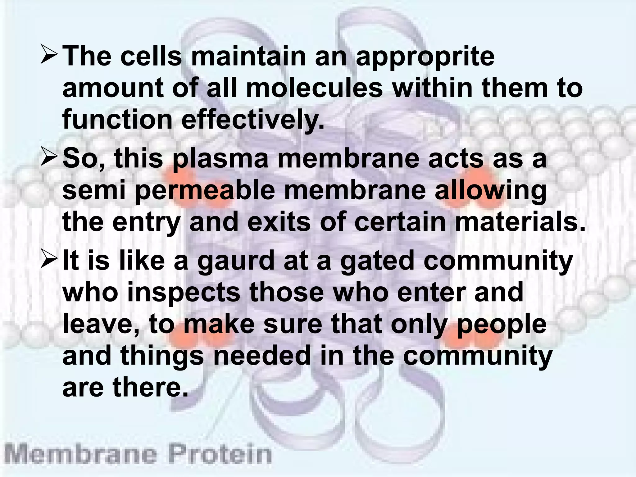 Structure & function of cell membrane | PPT