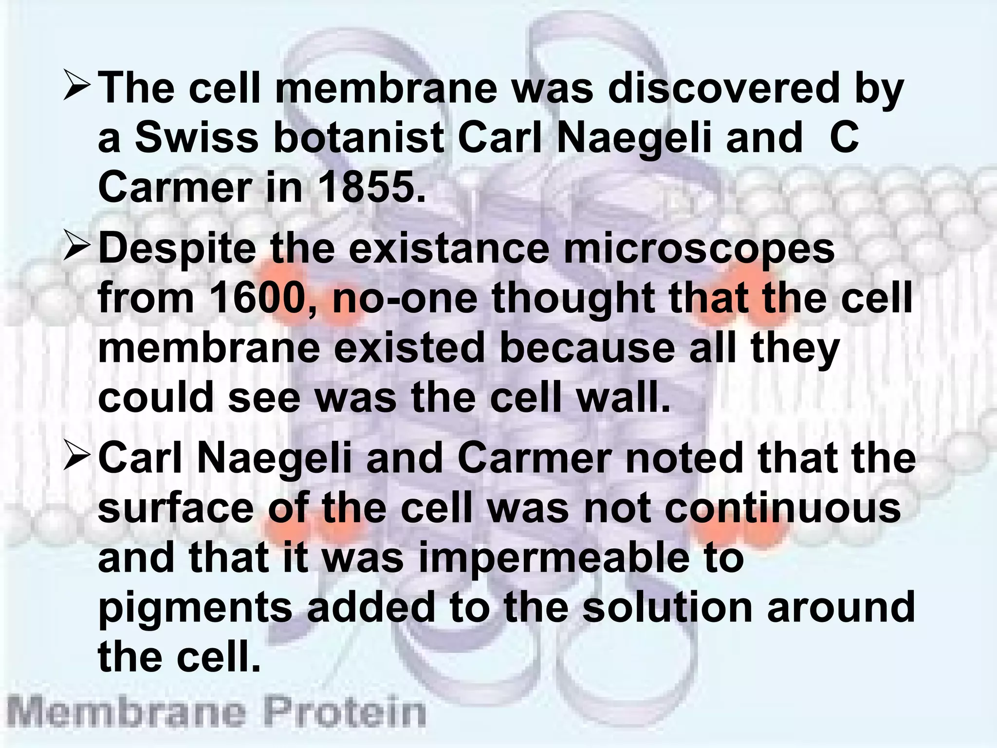 Structure & function of cell membrane | PPT