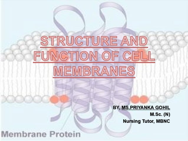 Structure & function of cell membrane | PPT | Biological Sciences | Science