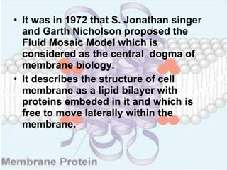Structure & function of cell membrane | PPT