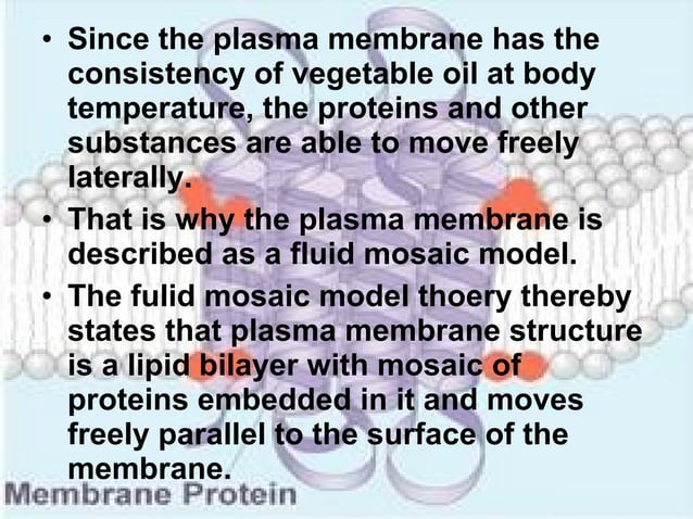 Structure & function of cell membrane | PPT | Biological Sciences | Science