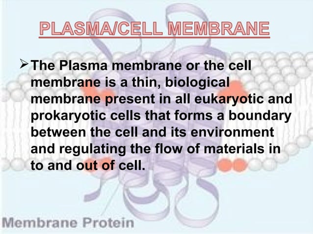 Structure & function of cell membrane | PPT | Biological Sciences | Science