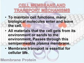 Structure & function of cell membrane | PPT