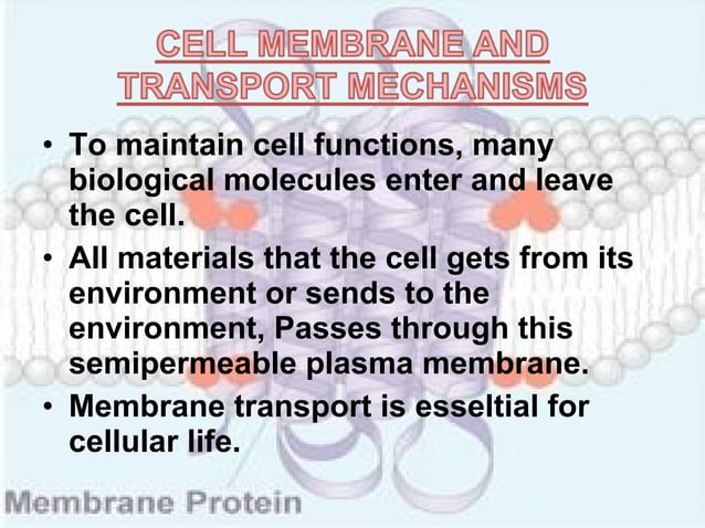 Structure & function of cell membrane | PPT | Biological Sciences | Science