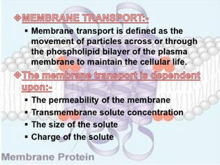 Structure & function of cell membrane | PPT