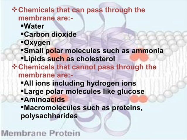 Structure & function of cell membrane | PPT | Biological Sciences | Science