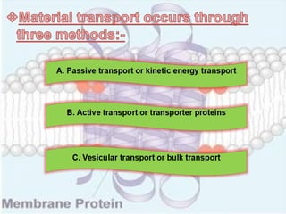 Structure & function of cell membrane | PPT