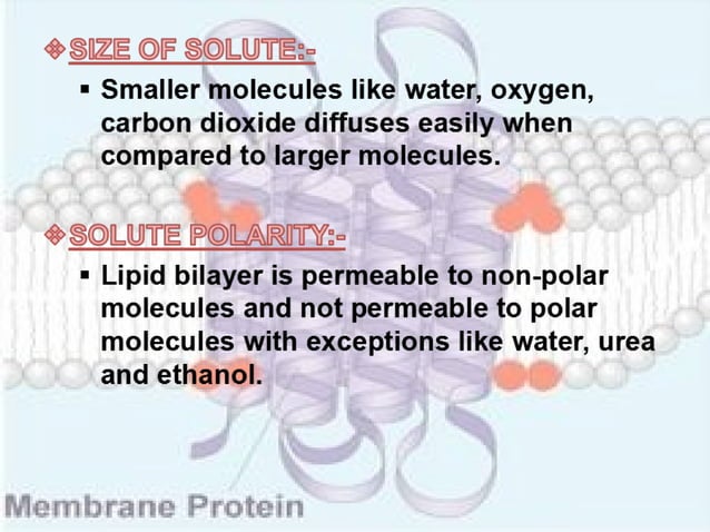 Structure & function of cell membrane | PPT | Biological Sciences | Science