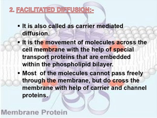 Structure & function of cell membrane | PPT | Biological Sciences | Science