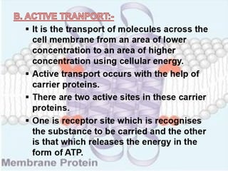 Structure & function of cell membrane | PPT