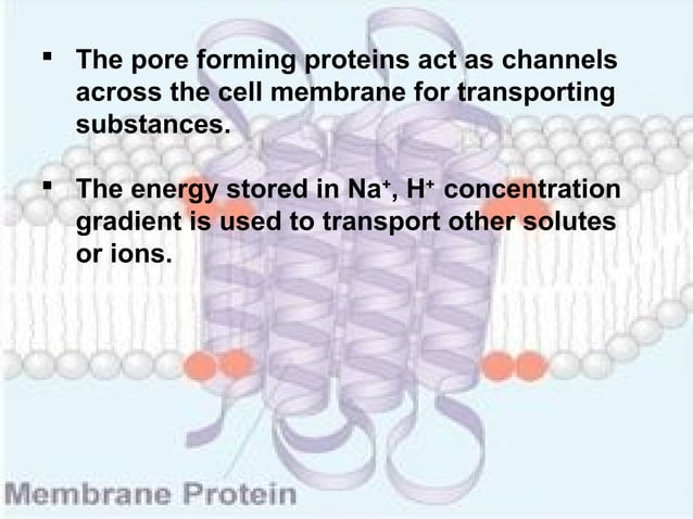 Structure & function of cell membrane | PPT | Biological Sciences | Science