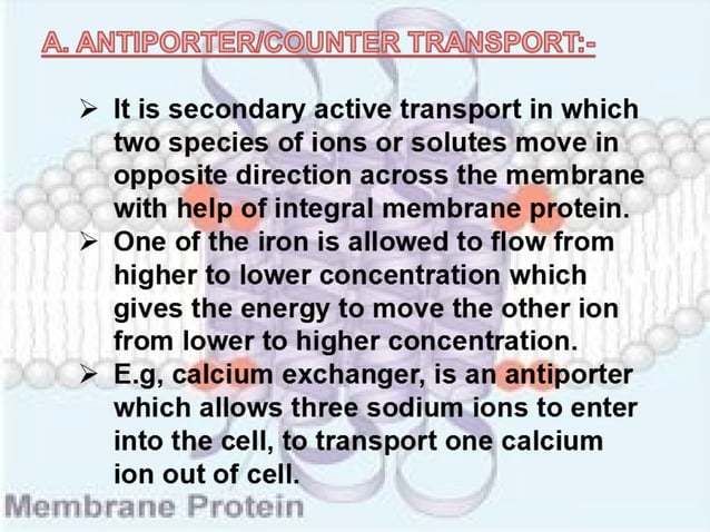 Structure & function of cell membrane | PPT | Biological Sciences | Science