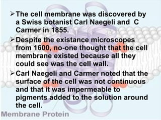 Structure & function of cell membrane | PPT