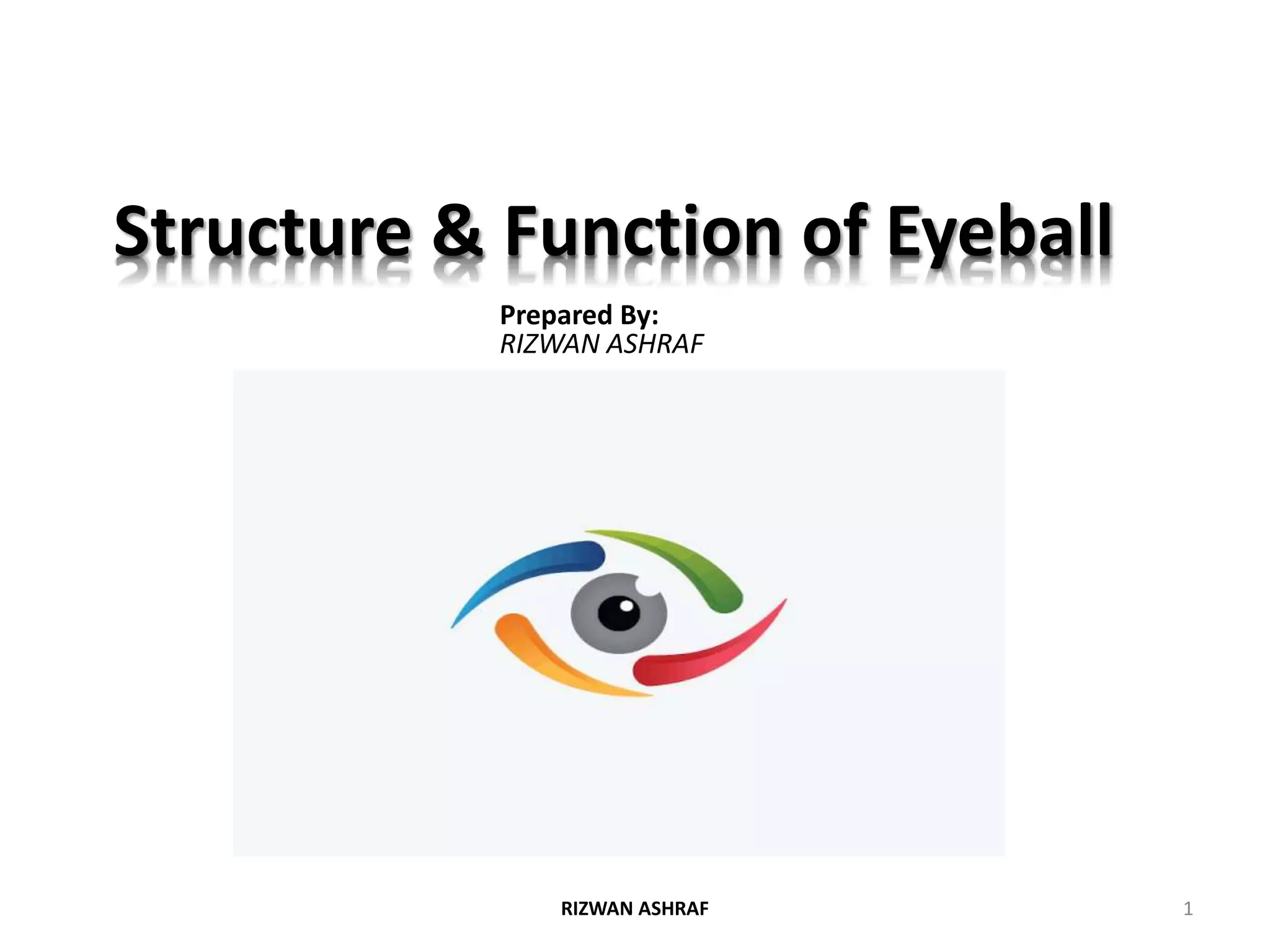 Structure & Function of Eye | PPTX