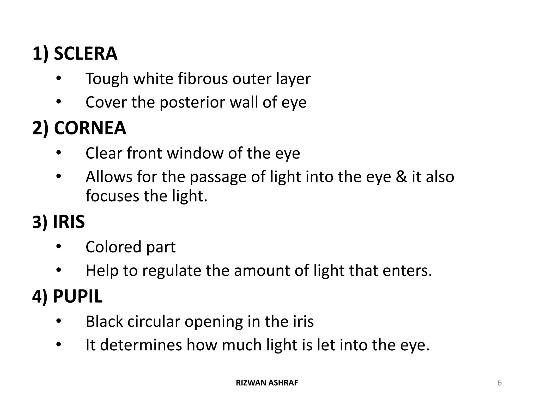 Structure & Function of Eye | PPTX