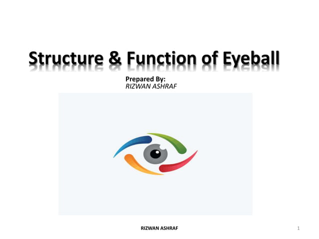 Structure & Function of Eye | PPTX | Eye and Vision Conditions ...