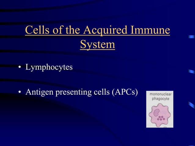 Structure & Function of immune system.pdf