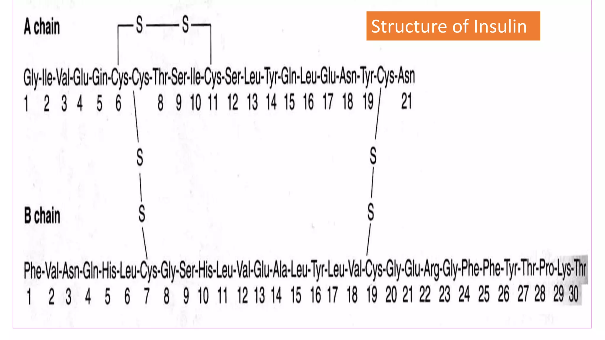 Structure& function of insulin,glucagon By Dr. Ashok KUmar Jeppu | PDF