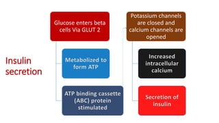 Structure& function of insulin,glucagon By Dr. Ashok KUmar Jeppu | PDF