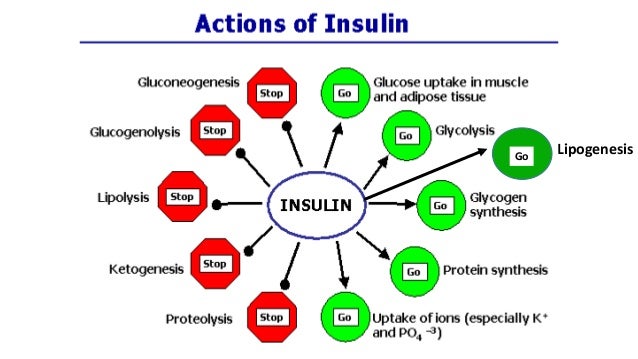 Structure& function of insulin,glucagon By Dr. Ashok KUmar Jeppu