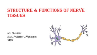 Structure & function of nerve tissue.pptx