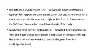 Structure & function of nerve tissue.pptx